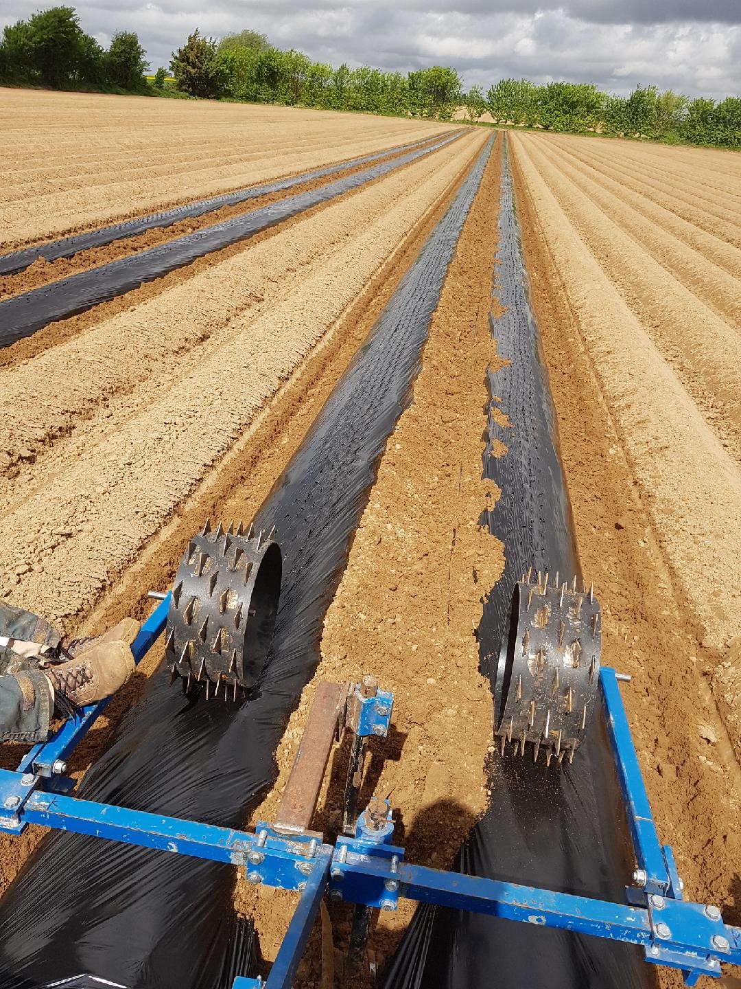 Plasticulture - Pom’Idéal